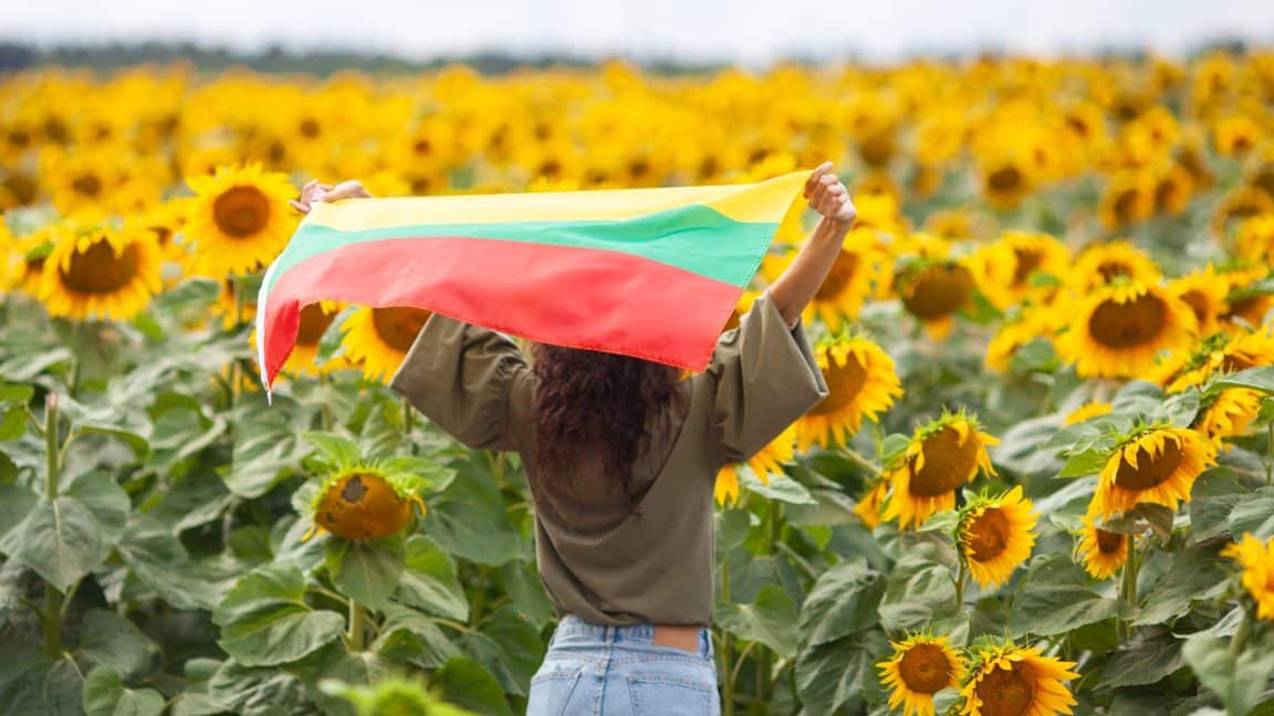 Kip slobode: Top 10 zanimljivosti o čuvaru New Yorka